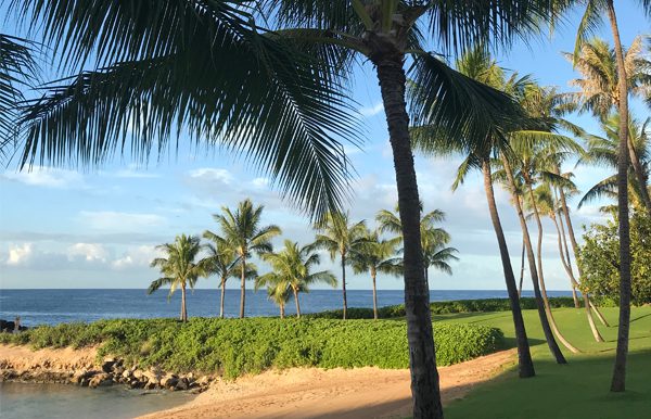 Saving for a Dream Vacation? - Canopy Credit Union