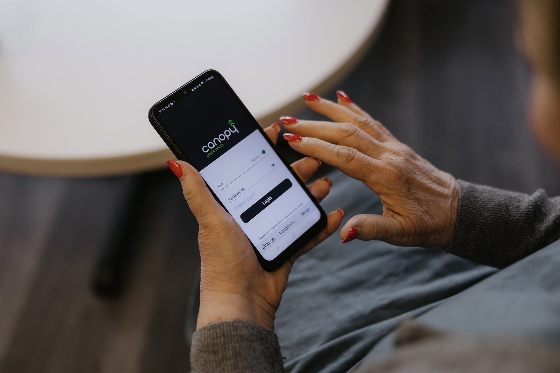 Credit Union Services | Canopy Credit Union App | Canopy CU